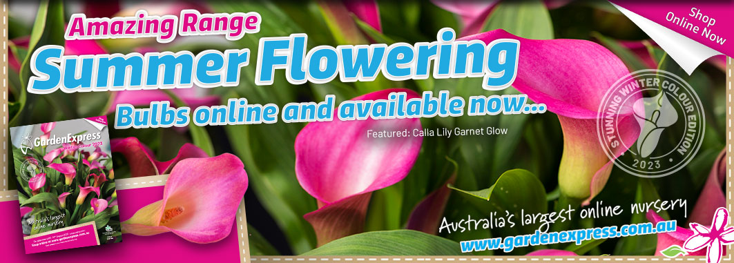 Australia's largest online and mail order garden supplier - Garden Express