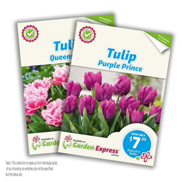 Flower Fest Last Chance 5 Selected Tulip Packs - Garden Express