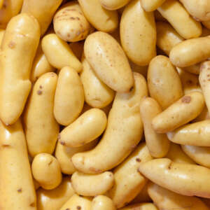 Certified Seed Potatoes - Garden Express - Online Nursery