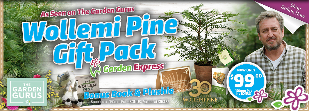 Garden Express Australia: Shop for All Your Gardening Needs