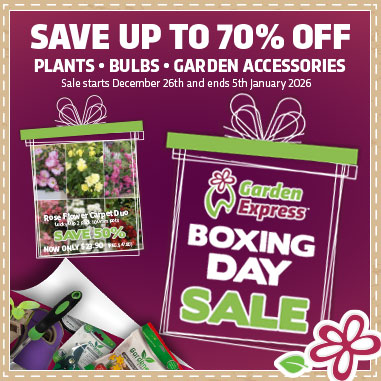 Boxing Day Sale - Garden Express - Australia's Largest Online Nursery